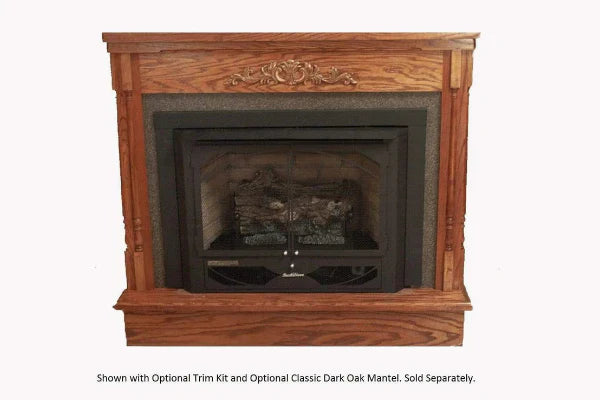 Buck Stove Model 384 Vent Free 33000 BTU Natural Gas Stove – US ...